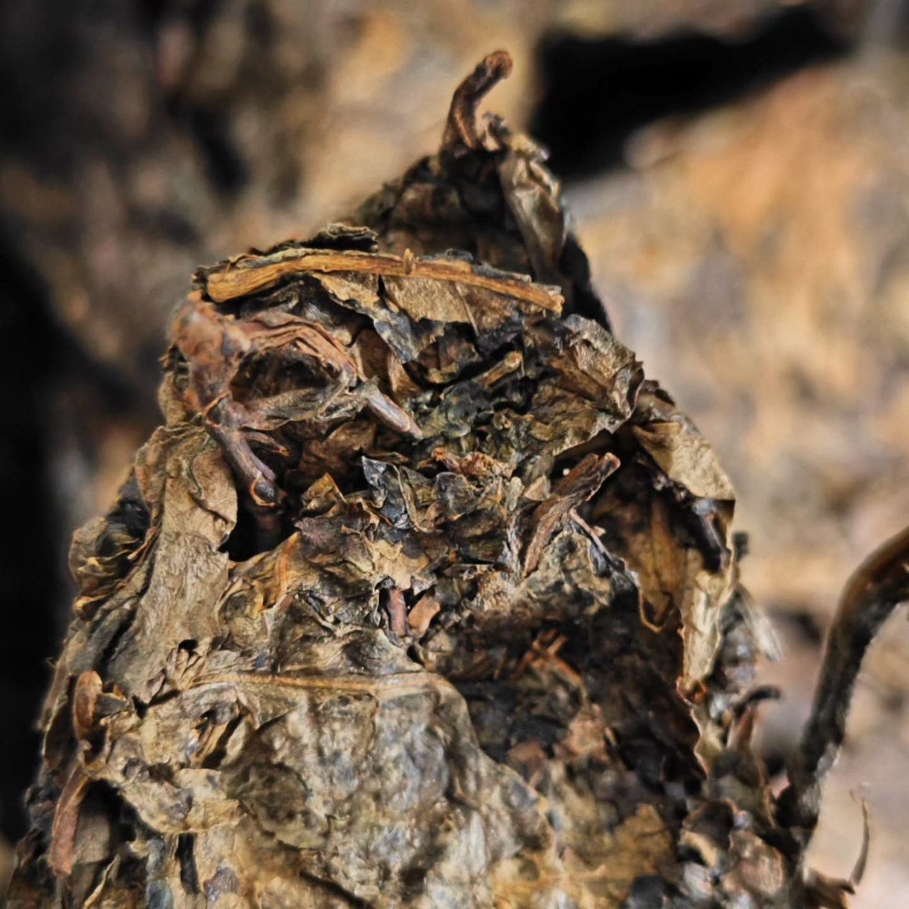 gently comforting tea