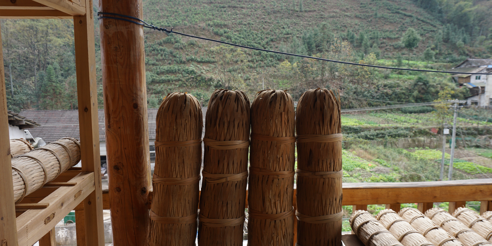 Anhua County - gently comforting tea