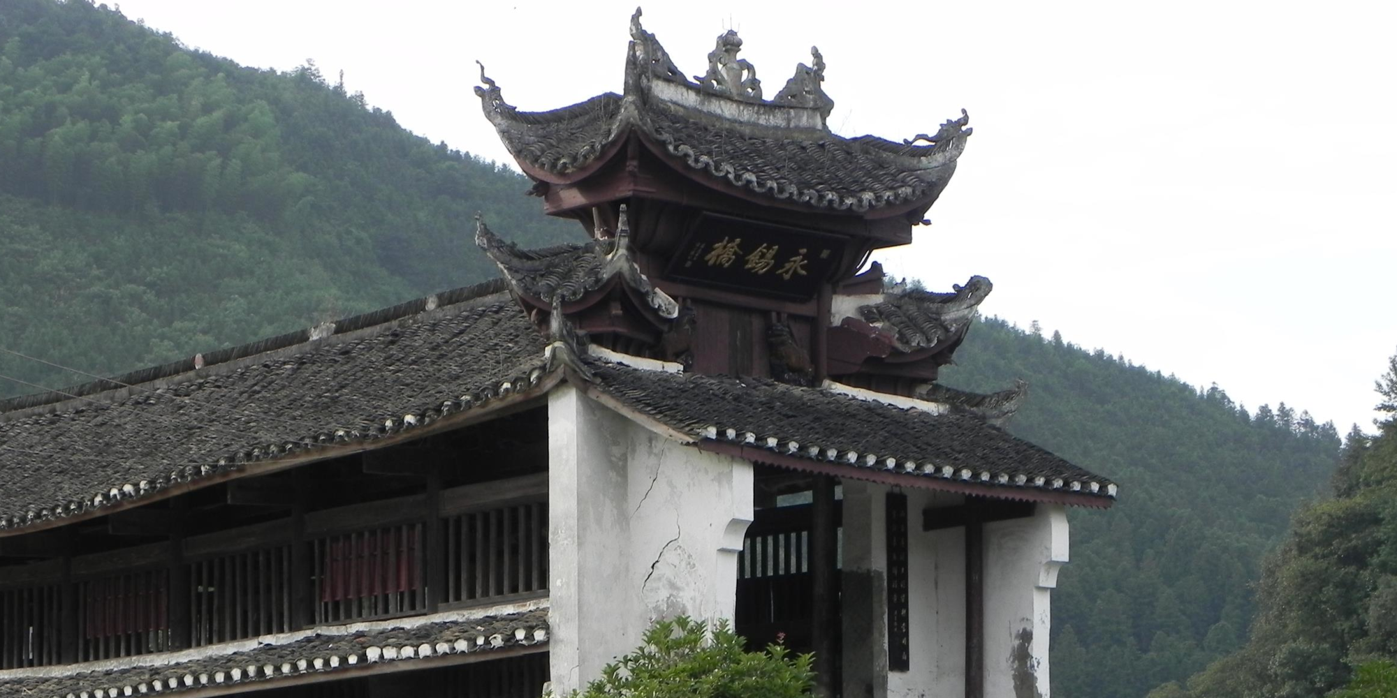 Anhua County - gently comforting tea