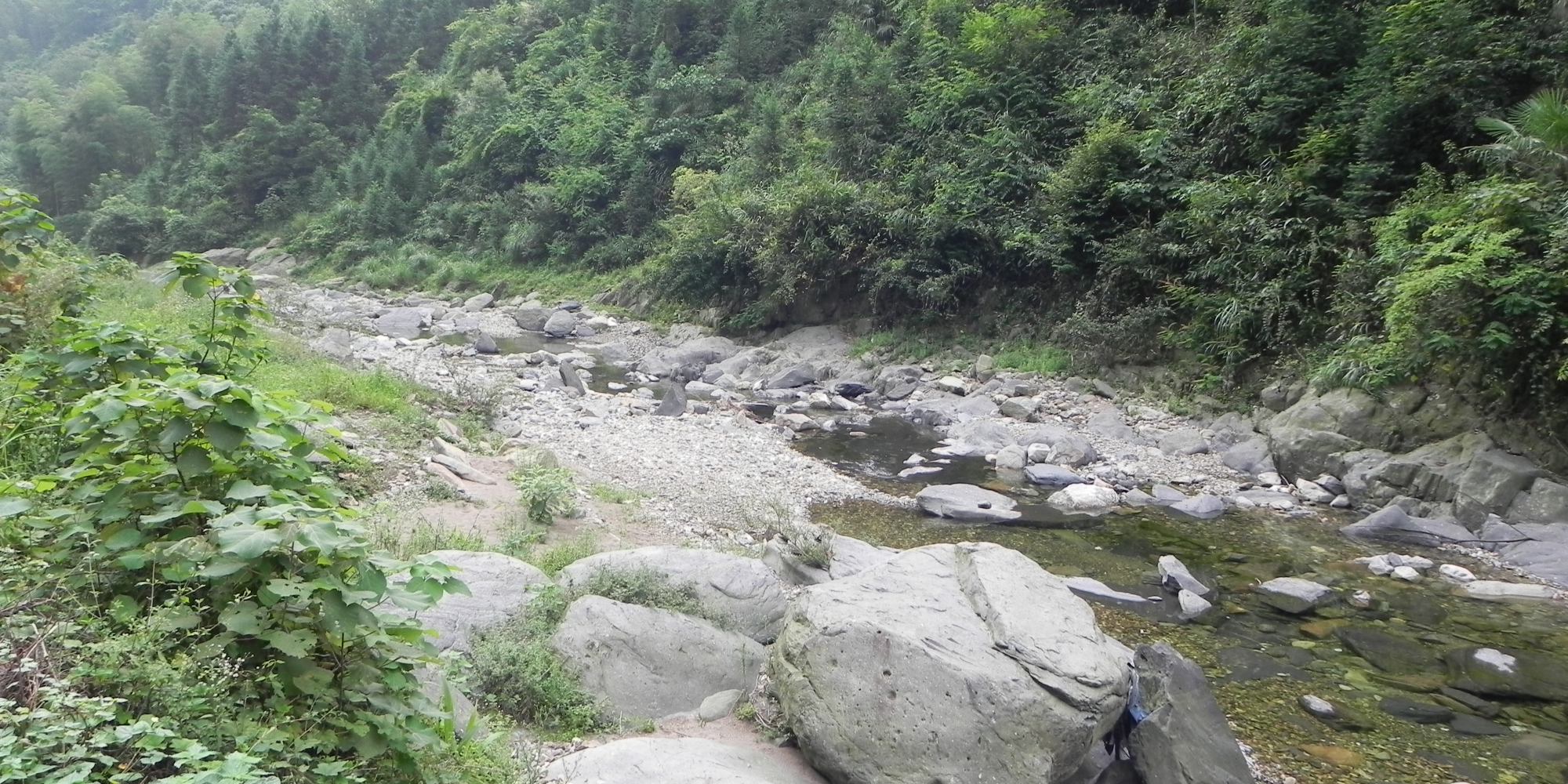 Anhua County - gently comforting tea