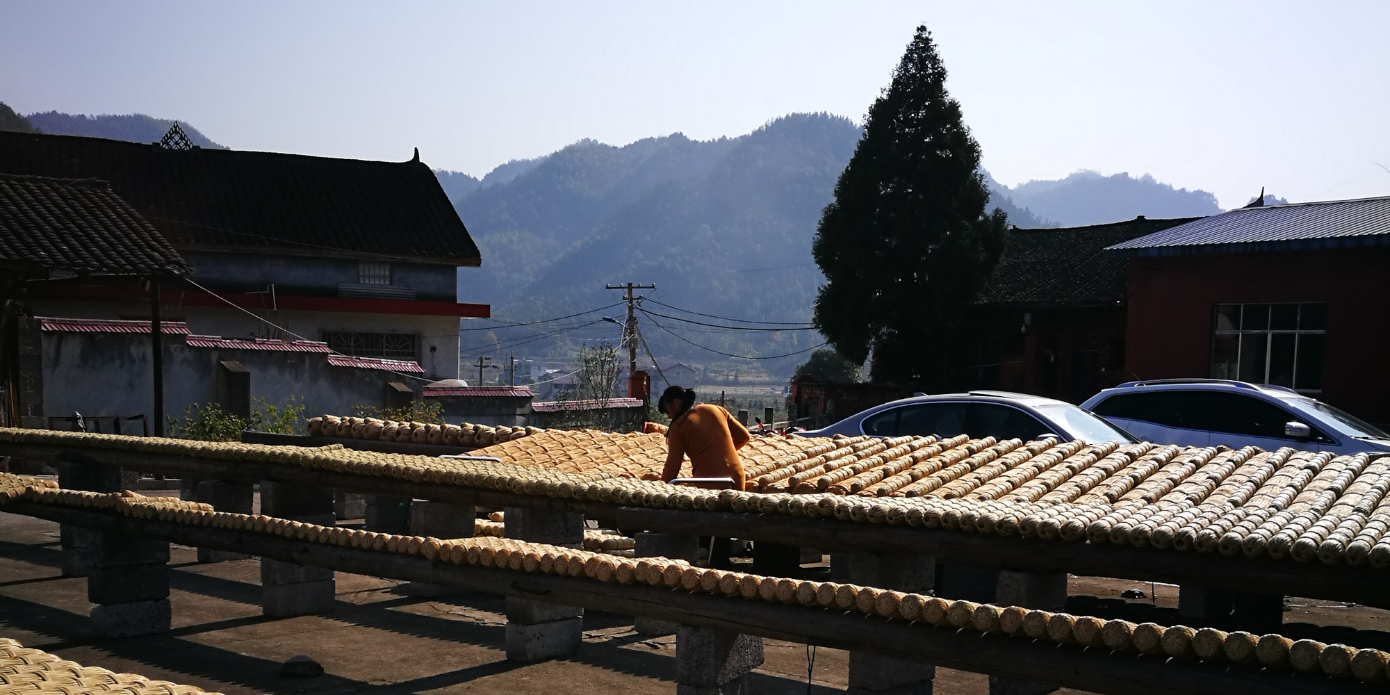 Anhua County - gently comforting tea